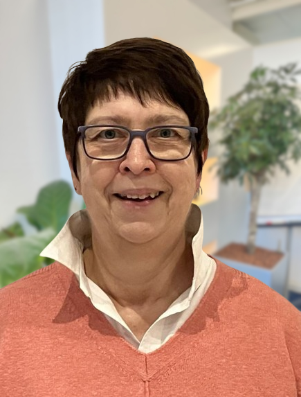 Career - edilon)(sedra